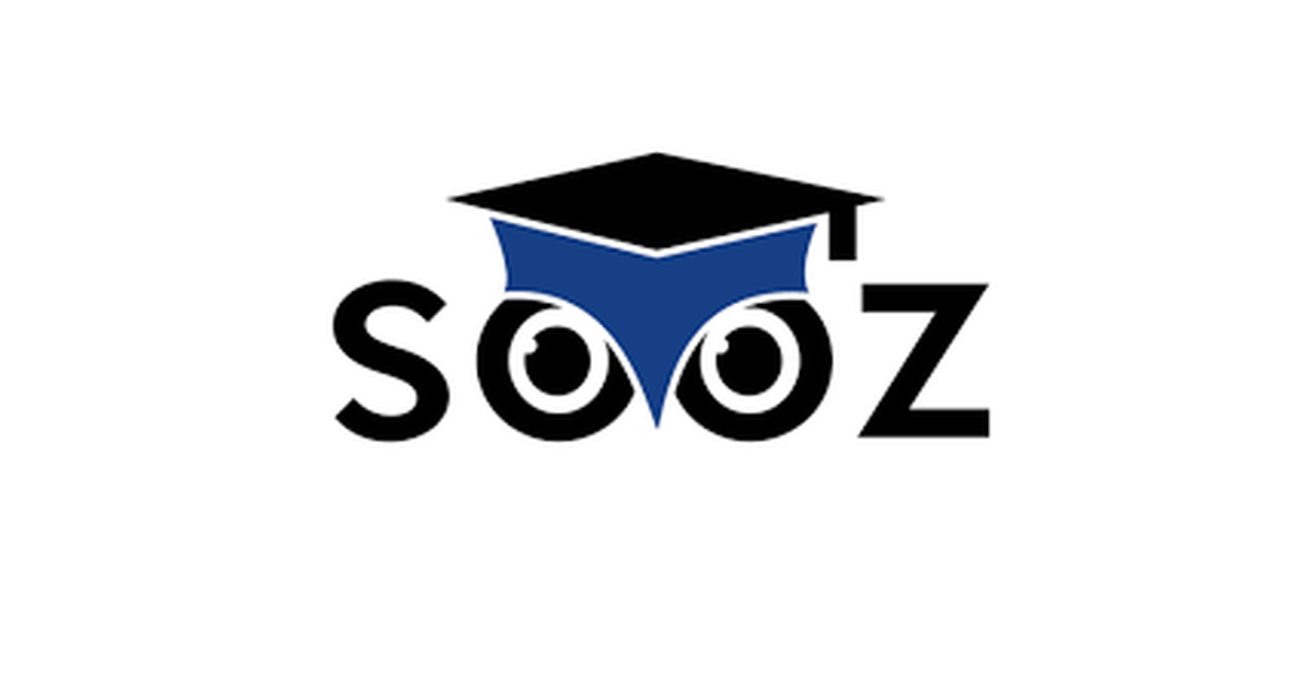 SOOZ gaat eenzaamheid studenten bestrijden met Discord - 1Zwolle