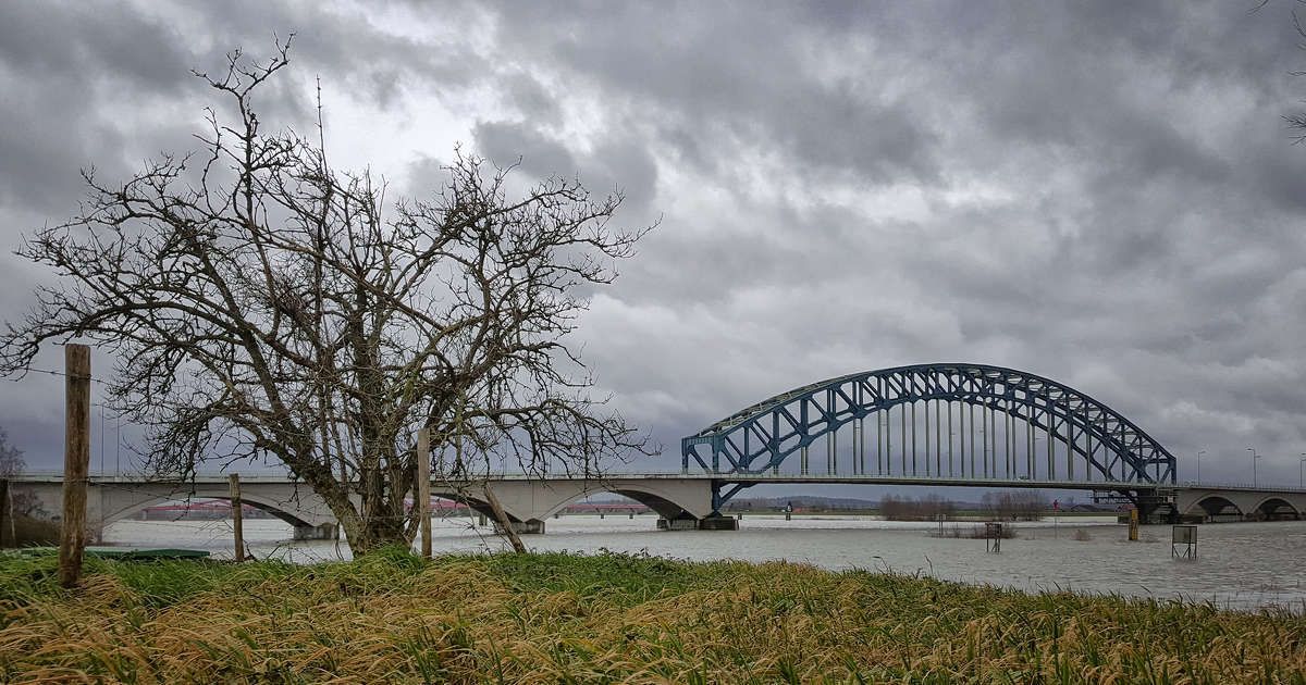 Het weer: Storm Eunice komt met zeer zware windstoten - 1Zwolle