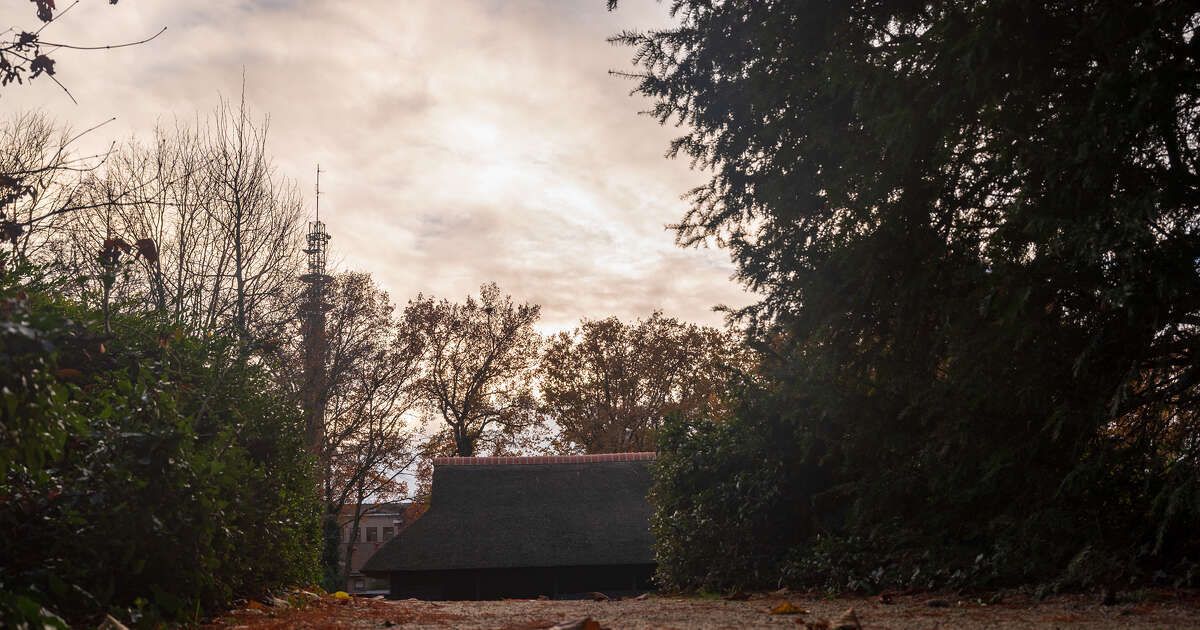 Overvaller loopt dwarslaesie op nadat zijn slachtoffer hem neersteekt ...