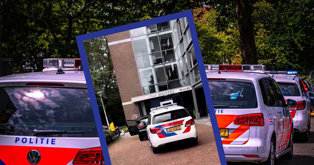 Politie Zwolle veroorzaakt geluidsoverlast, maar grijpt wegpiraat bij ... Politie Zwolle veroorzaakt geluidsoverlast, maar grijpt wegpiraat bij ...