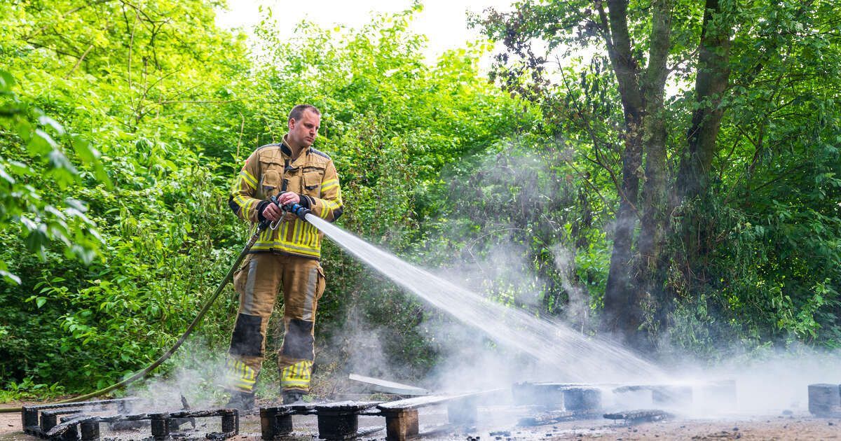 Pyromaan vroeg uit de veren in Park de Wezenlanden - 1Zwolle