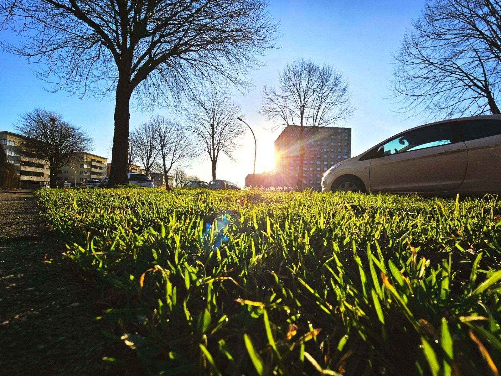 Tijd voor wat vrijdagfavorieten! Deel jouw foto met ons - 1Zwolle